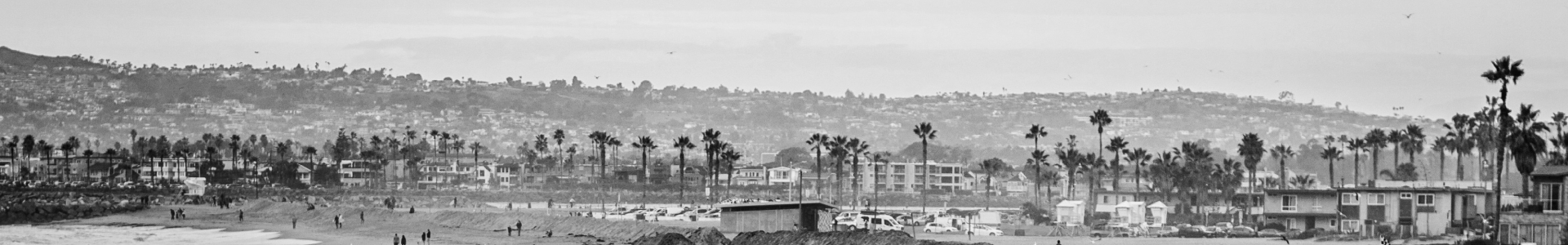 Iconic Property Management | Your Local Property Managers | San Diego